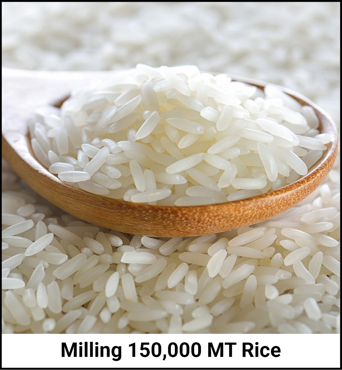 MM Group – MM Group of Companies